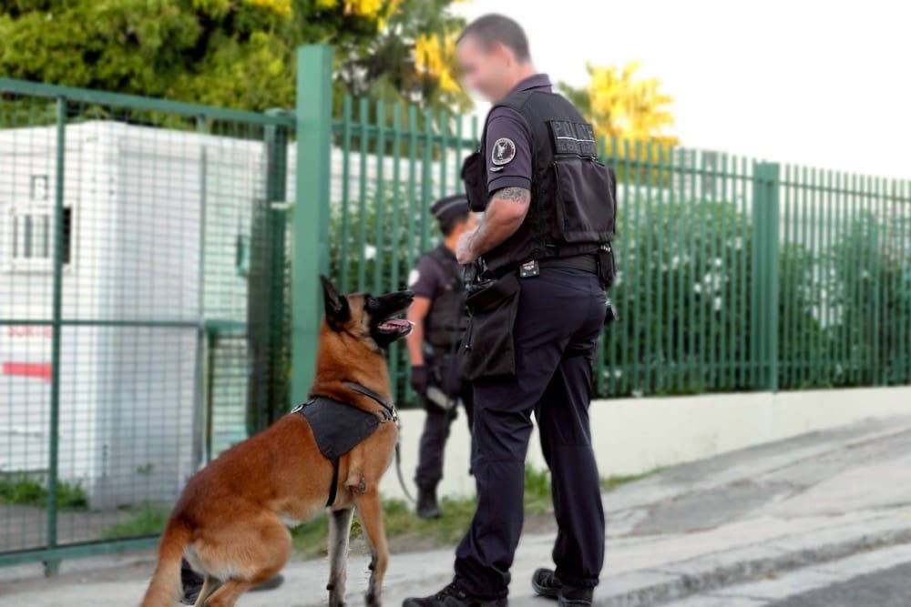 Opération de police - La Voix du Caillou